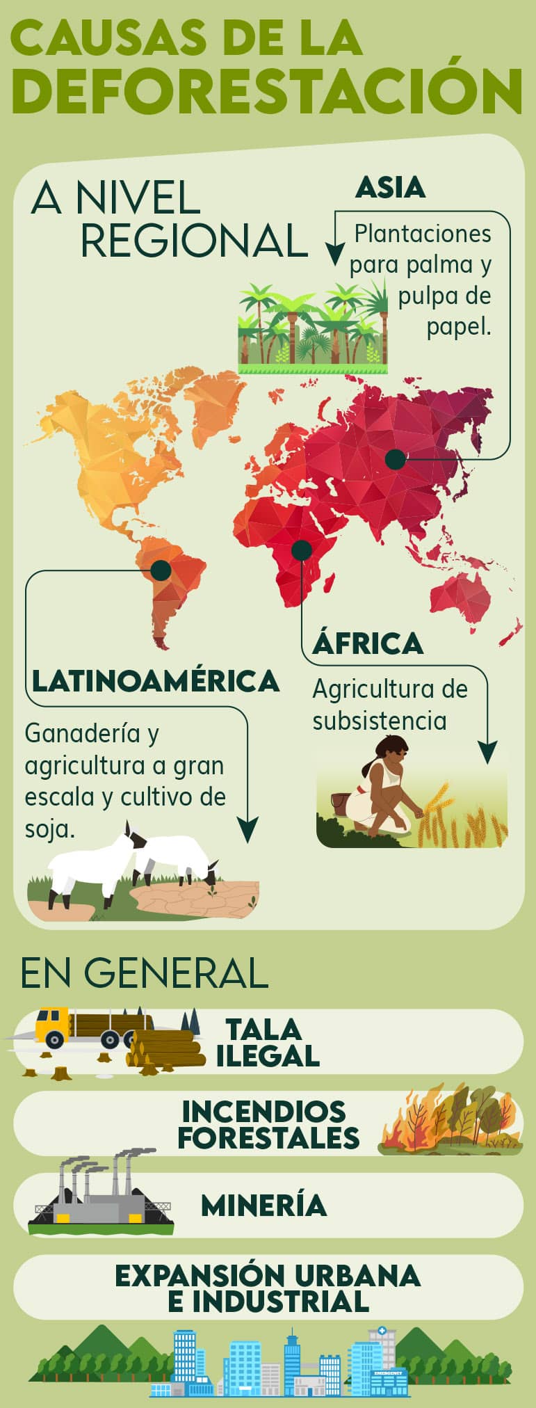 Deforestación: ¿Qué es, consecuencias y soluciones | DKV 360